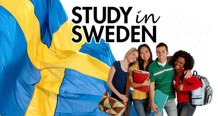 Scholarships at Linnaeus University in Sweden 2024