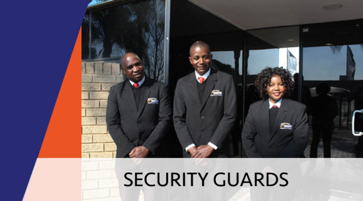 List of Security Companies In Pretoria 2024 - Newshub360.net