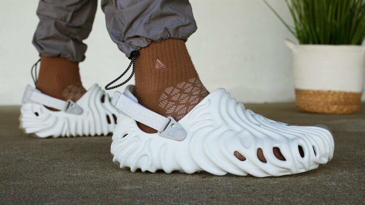 11 Most Expensive Crocs in The World 2024 -Newshub360.net