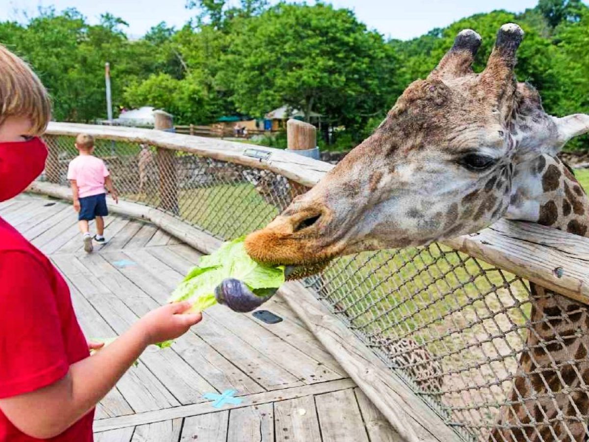 6 Best Aquariums in Ohio 2024 [UPDATED] - Newshub360.net