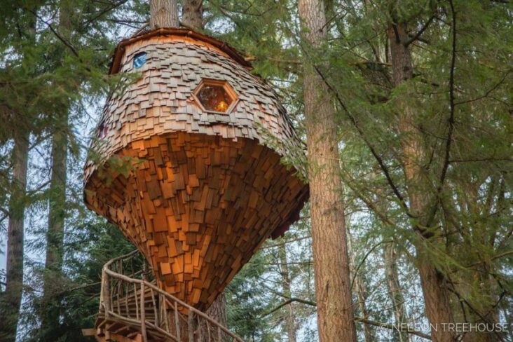 14 Treehouses in Florida That Awaken Your Inner Child 2024